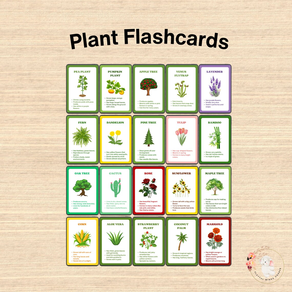 Plants Flashcards, Educational Printable Cards, Pre-school Cards ...