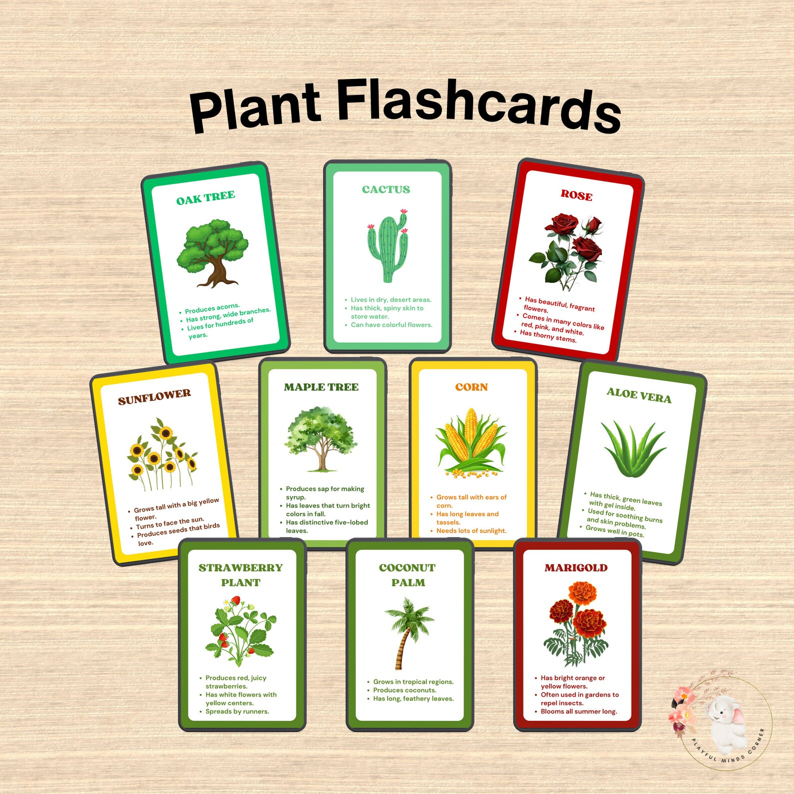 Plants Flashcards, Educational Printable Cards, Pre-school Cards ...