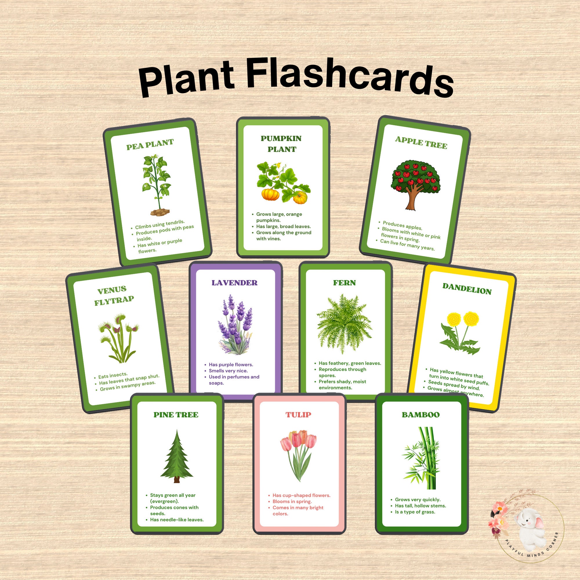 Plants Flashcards, Educational Printable Cards, Pre-school Cards ...