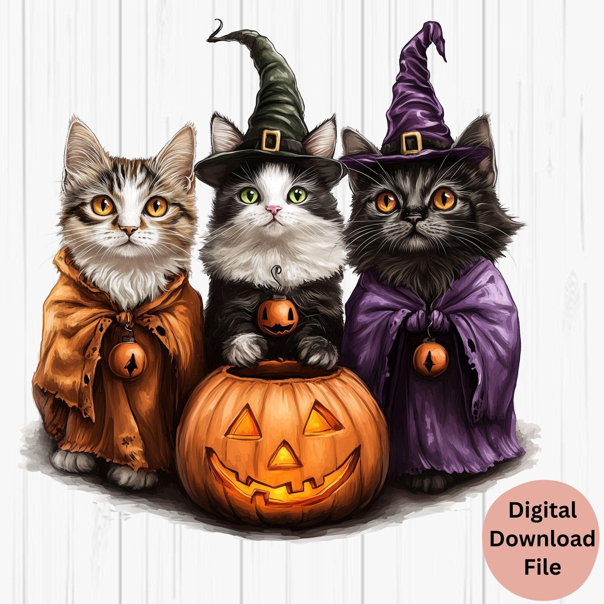 Cute Halloween Cats SVG PNG, Cat Clip Art Digital Download Files ...