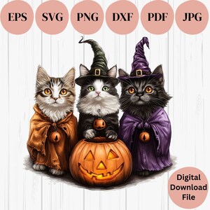 Cute Halloween Cats SVG PNG, Cat Clip Art Digital Download Files, Instant Download for Crafting ...