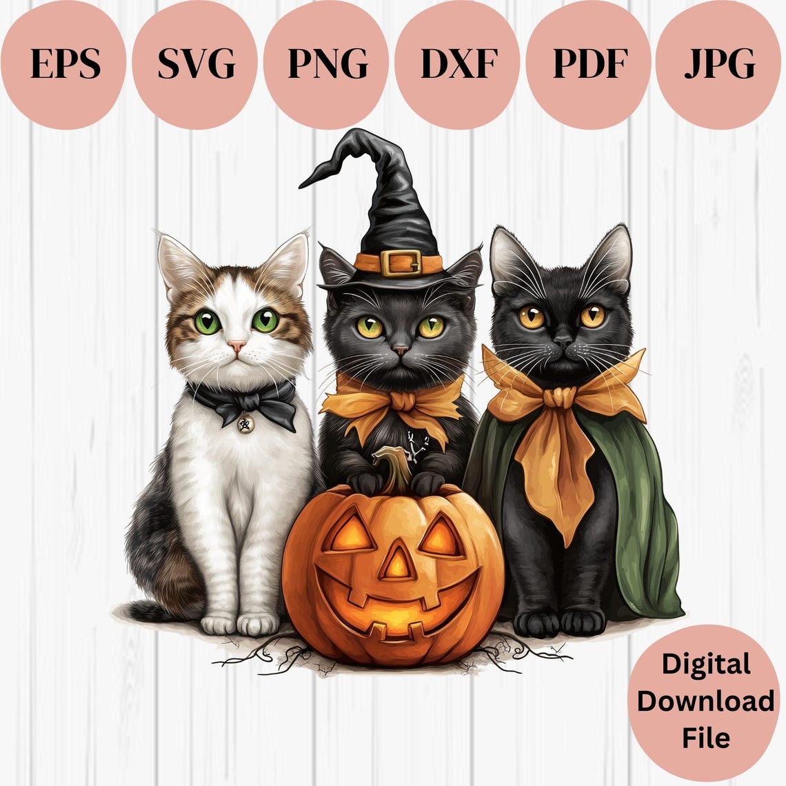 Cute Halloween Cats SVG PNG, Cat Clip Art Digital Download Files ...