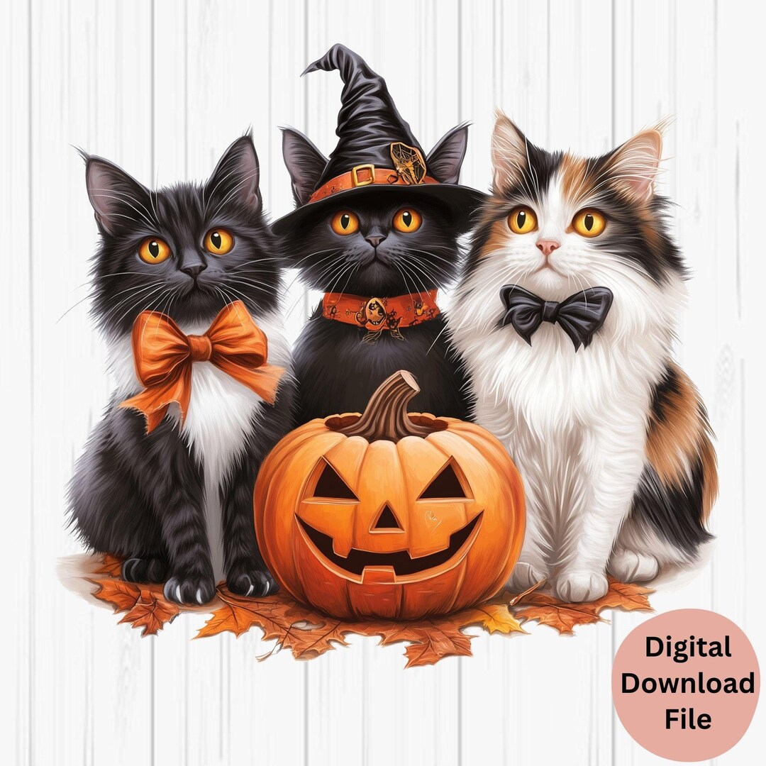 Cute Halloween Cats SVG PNG, Cat Clip Art Digital Download Files ...