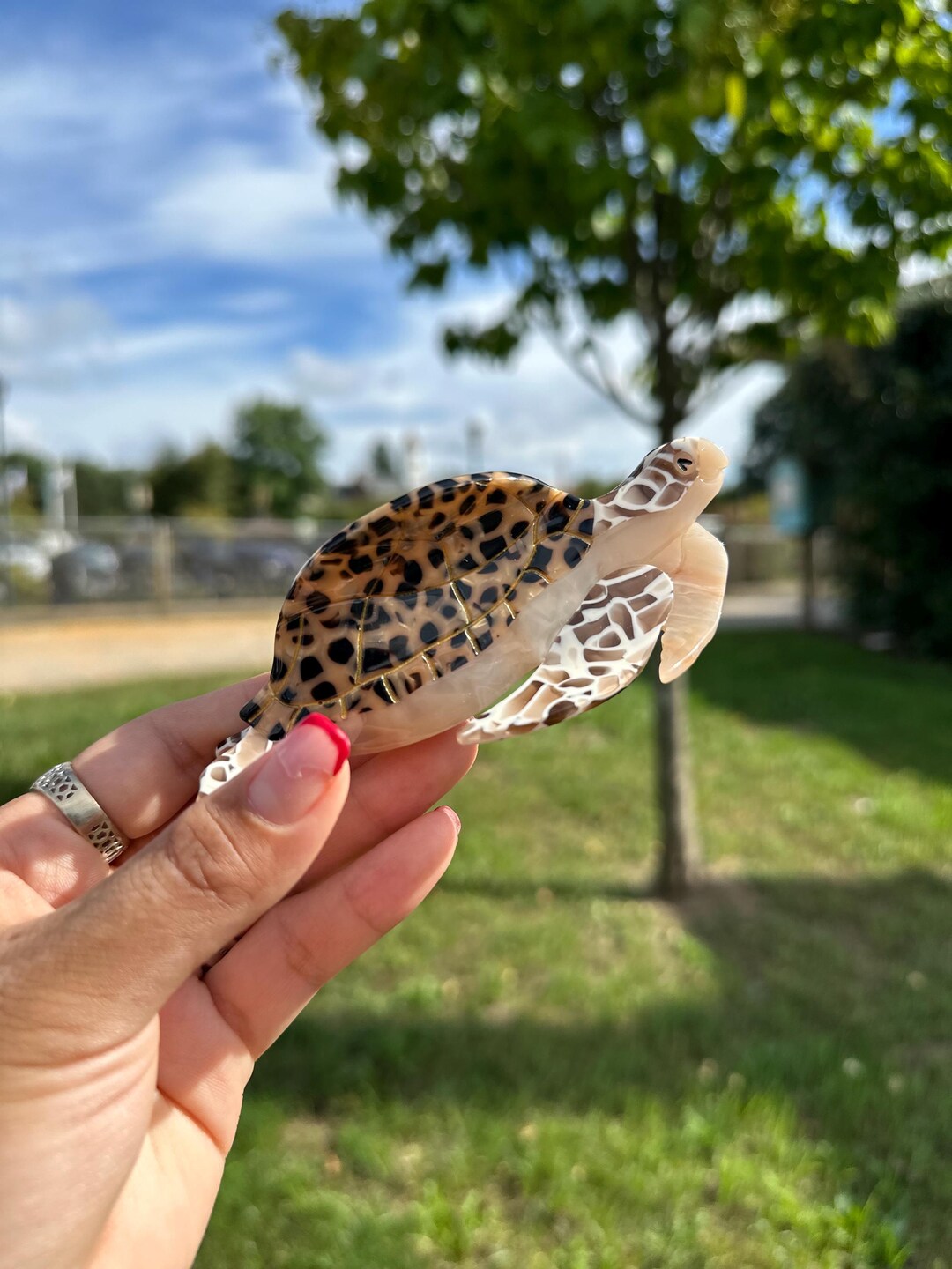 Eco-friendly Leopard Turtle Claw Clip - Etsy