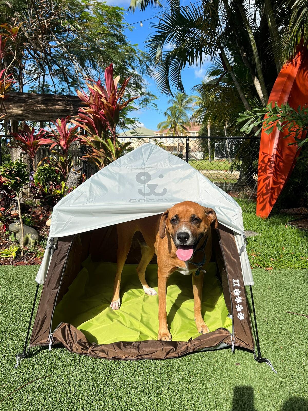 GOGGY Pop-up Dog Tent - Etsy