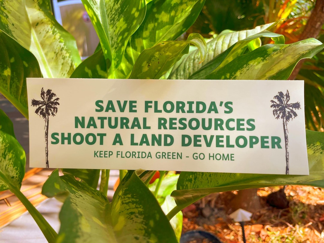 Decal Save Florida KEEP FLORIDA GREEN Bumper Sticker - Etsy