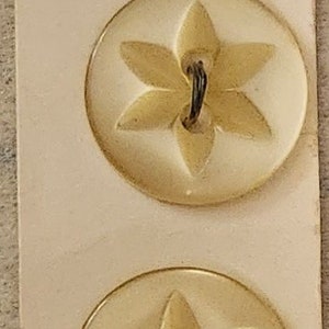 Basic Pale Yellow Buttons - Etsy