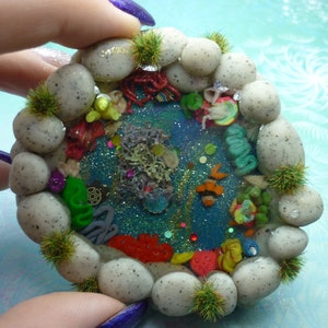 Reef / Rock Pool / Fish Pond Miniature Perfect for Fairy Gardens - Etsy
