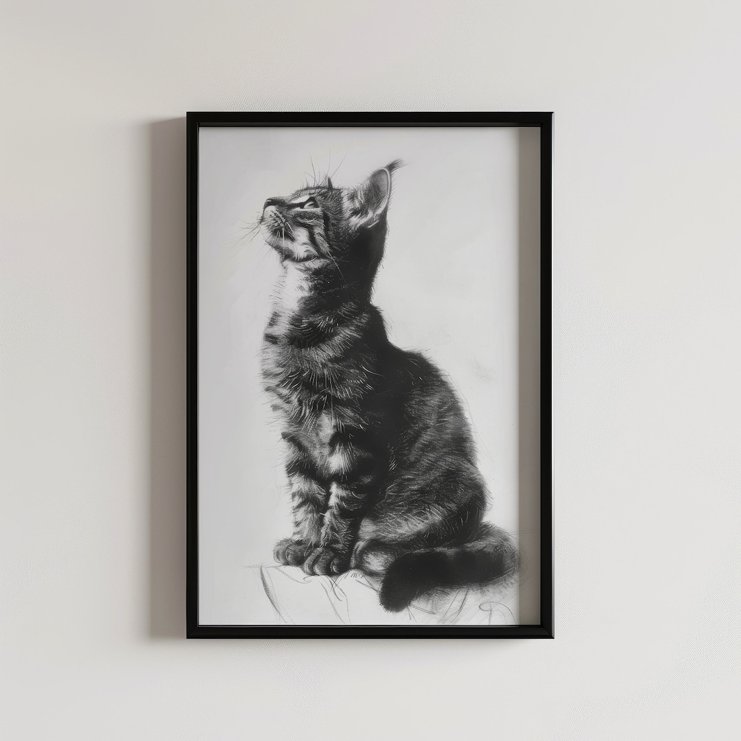Black and White Tabby Cat Poster, Charcoal Pencil Drawing Cat Art ...