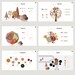Process Tree Infographic: 40-slide Business Brainstorming Template ...