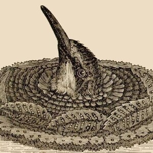 Victorian Penwiper Pen Wiper Patterns From Godeys Lady's Book Ebook Pdf ...