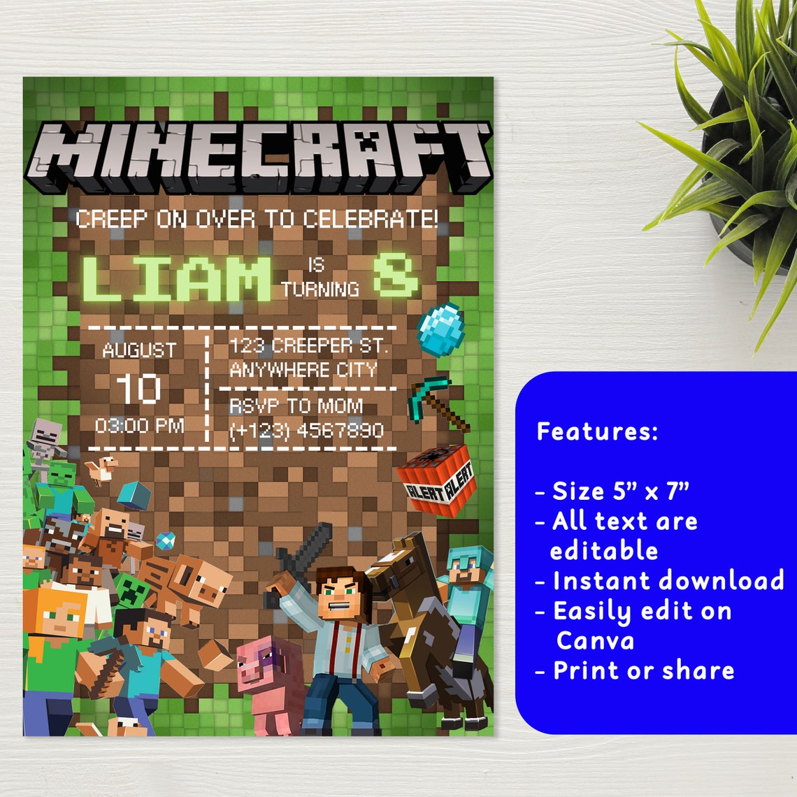 Minecrafter Birthday, Minecrafter, Boy Invitation, Gamer Invitation ...