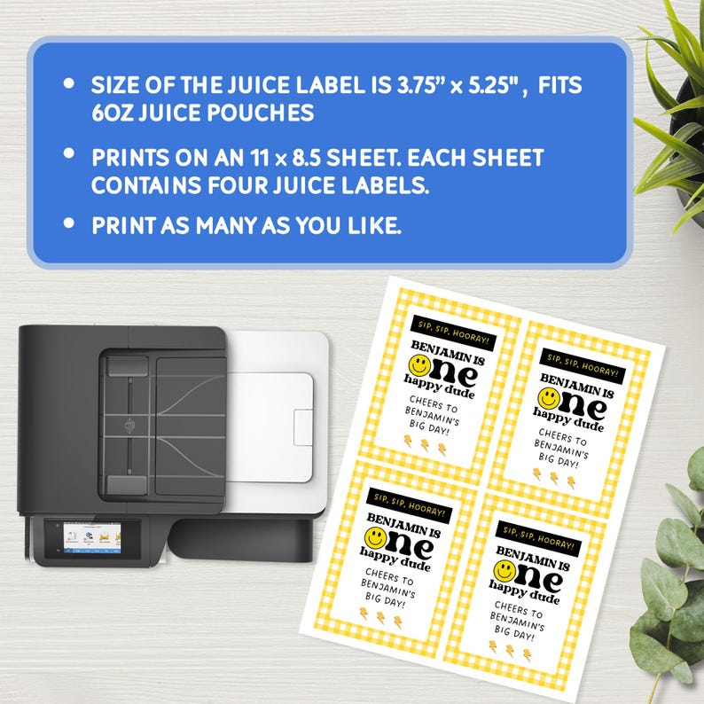One Happy Dude Juice Pouch Label, Editable Birthday Template (digital ...