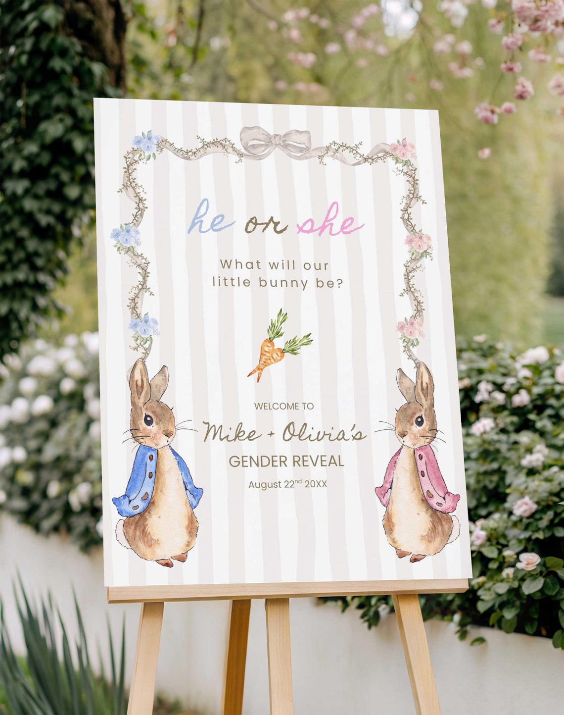 Peter Rabbit Gender Reveal Welcome Sign, He or She Boy or Girl, Pink ...