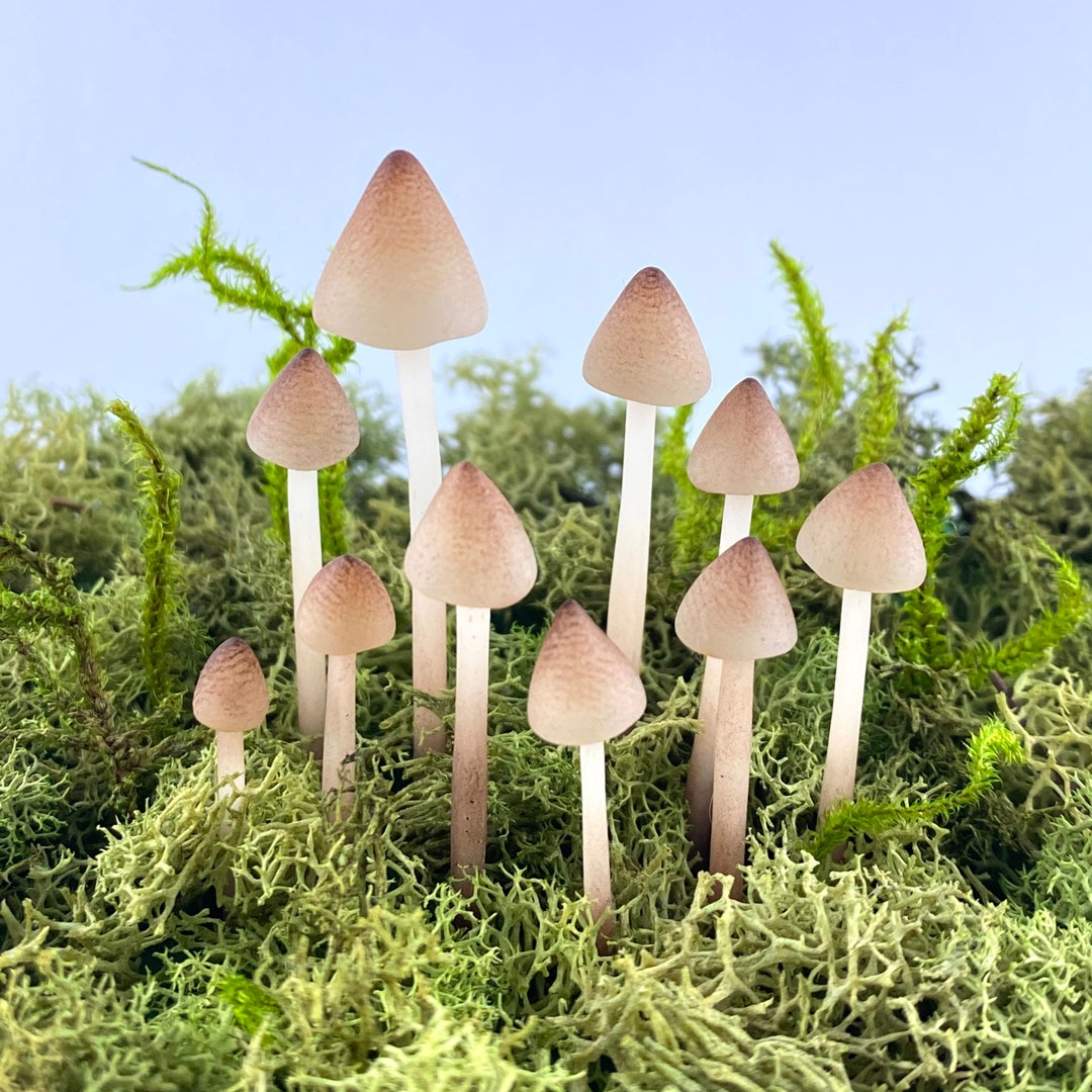Terrarium Figurines,realistic Translucent Mushroom Terrarium Decoration ...