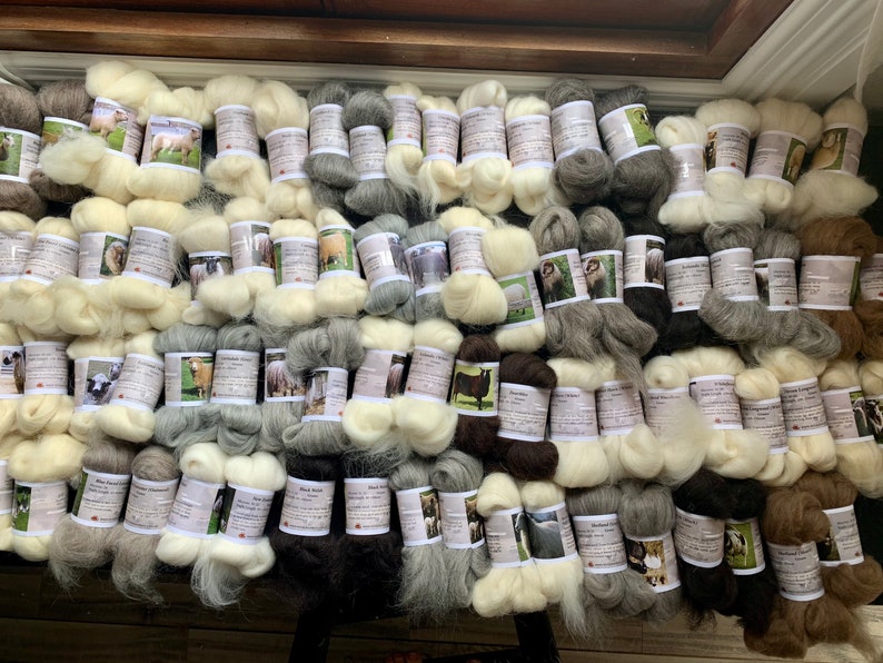 40 Sheep Breed Study Samples - Combed Top Wool Fibre - 1 Kilo - Etsy