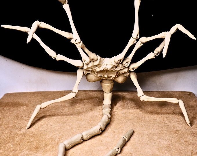 Facehugger - Etsy