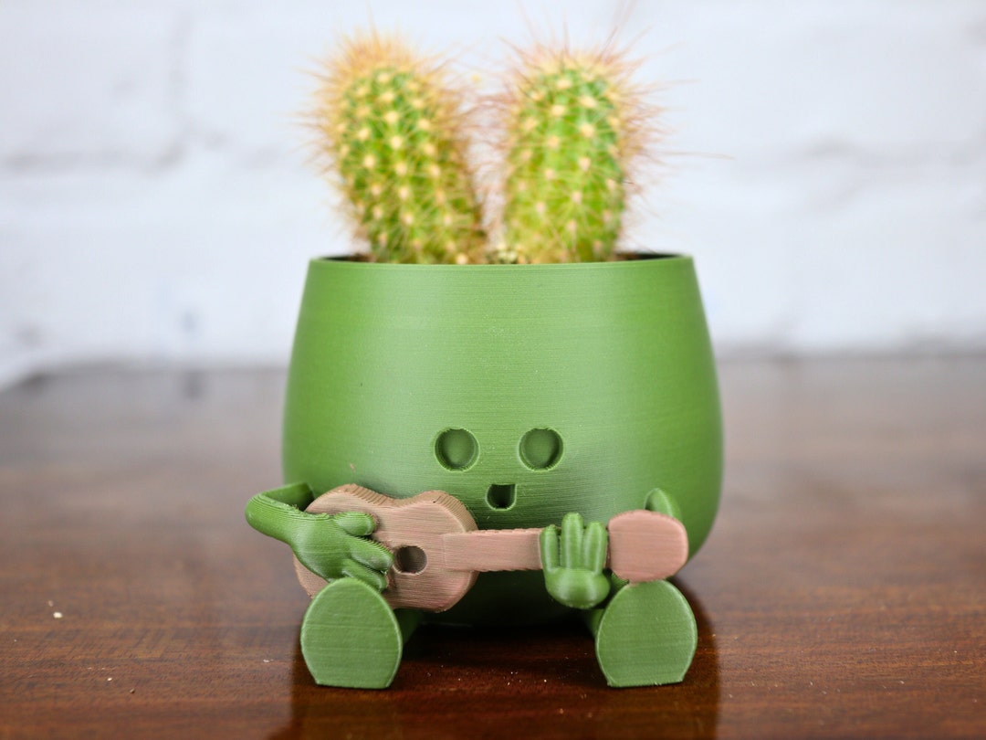 Official Happy Face Planter!- Cute Guitar Buddy - A Cute Succulent ...