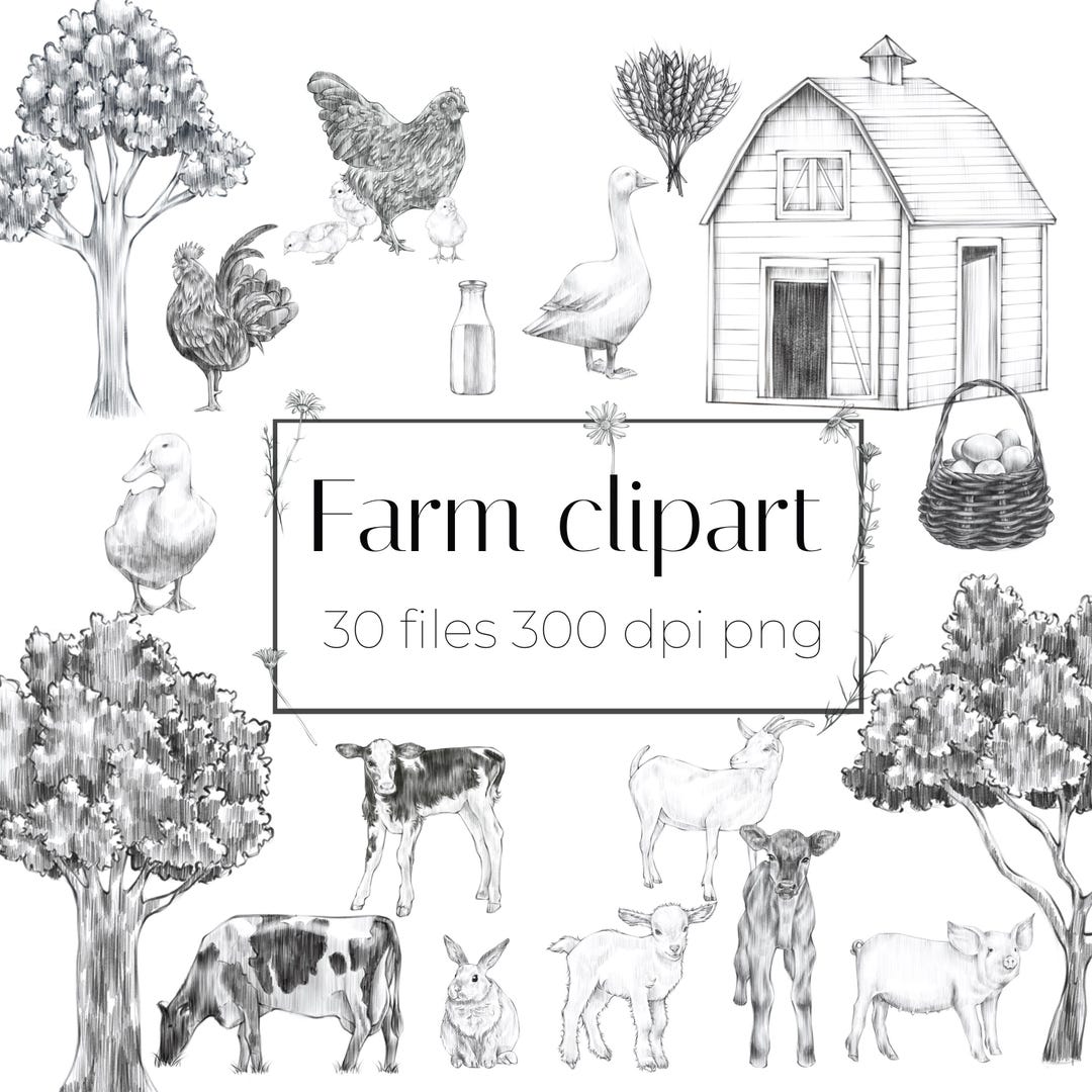 Cow Animal Illustration Bundle Goose Rabbit Goat Pig Chicken Farm Peak ...