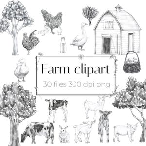 Cow Animal Illustration Bundle Goose Rabbit Goat Pig Chicken Farm Peak ...