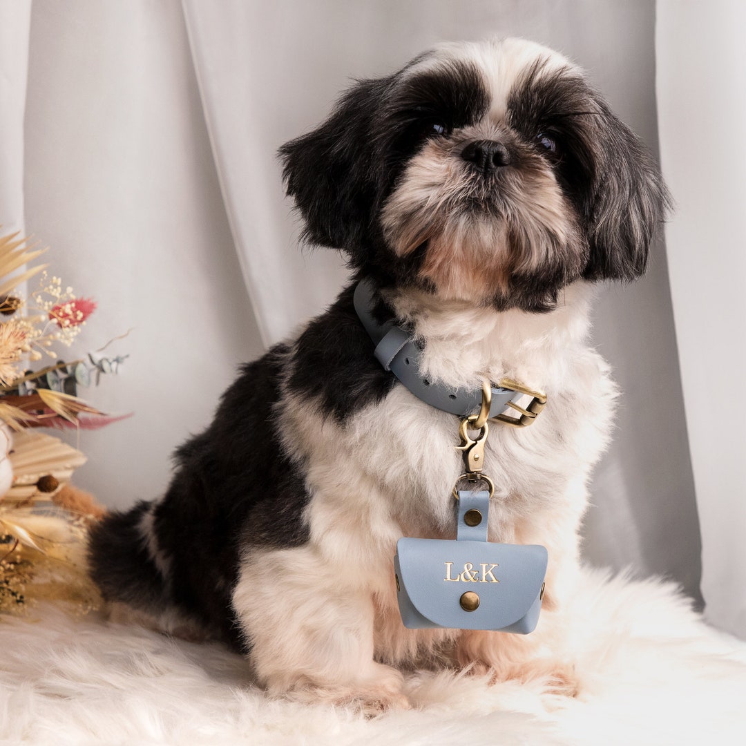 Personalised Ring Bearer Box for Dog | Wedding Dog Collar With Ring Box ...