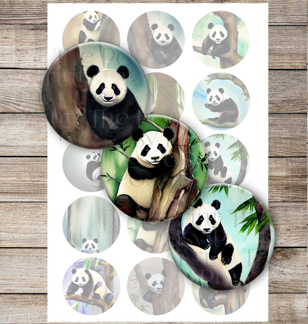 Panda Bears, Panda Collage, Cute Panda Bears, Jungle Scene , Instant ...