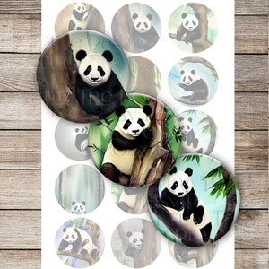 Panda Bears, Panda Collage, Cute Panda Bears, Jungle Scene , Instant ...
