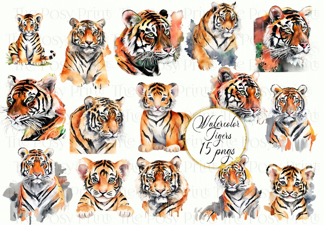 Tiger Clipart Watercolor Clipart, Printable Clip Art, Set of 15 Tigers ...