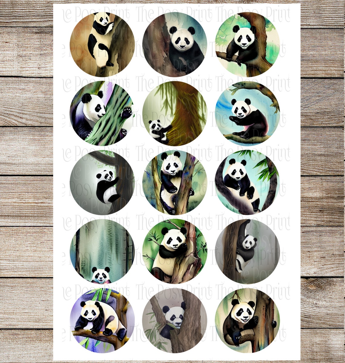 Panda Bears Panda Collage Cute Panda Bears Jungle Scene - Etsy
