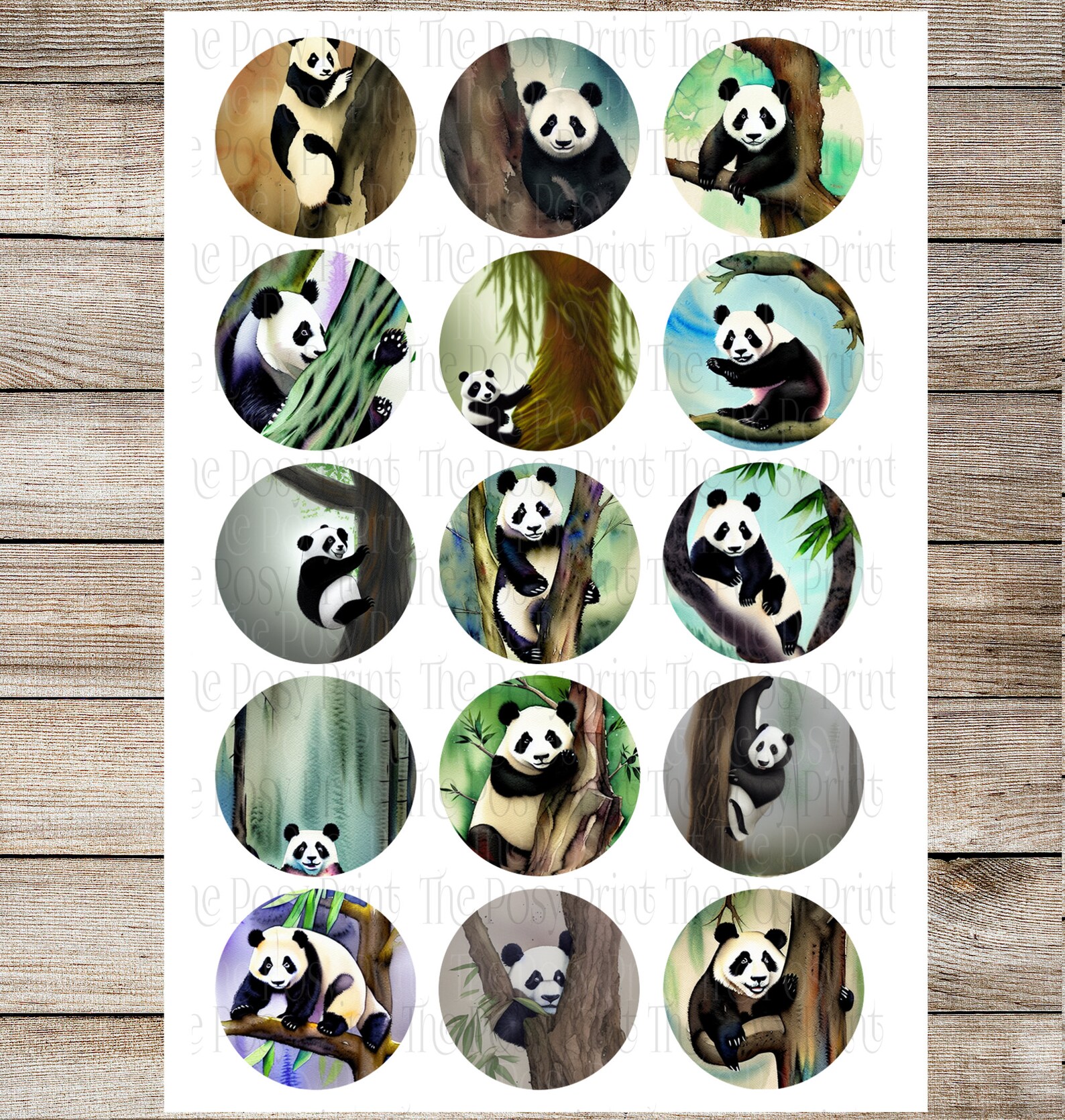 Panda Bears Panda Collage Cute Panda Bears Jungle Scene - Etsy