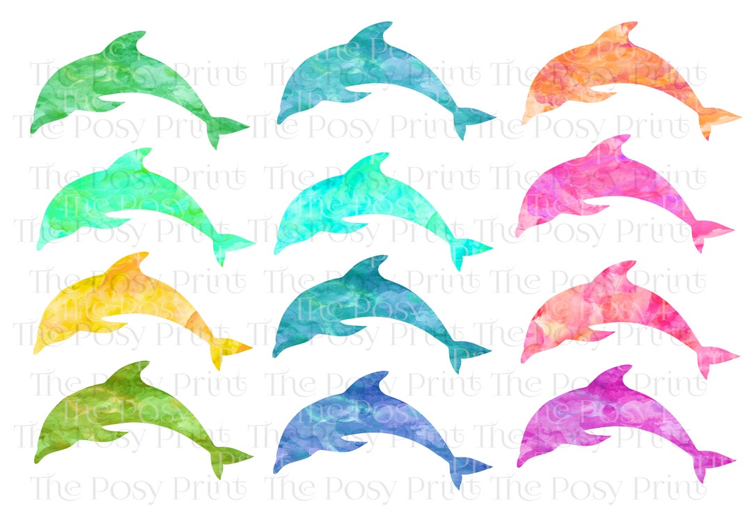 Watercolor Dolphin Clipart, Ocean Life, Printable Clip Art, 12 Dolphin ...