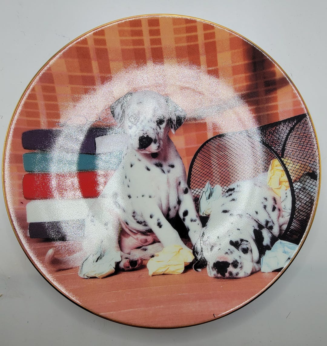 Vintage 1996 Dalmatian Plate "the Serious Studying Spot" From These ...