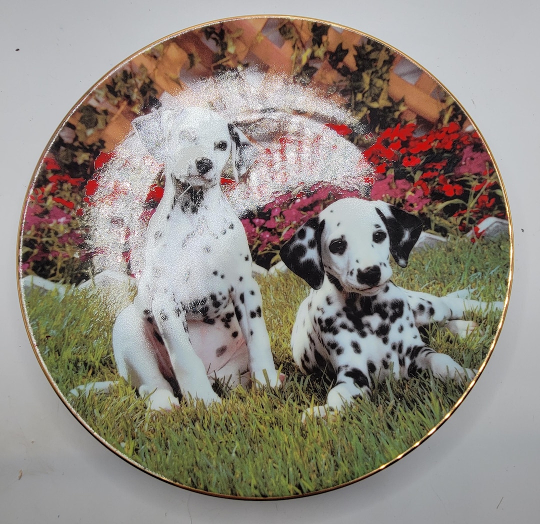 Vintage 1995 Dalmatian Plate "sweet Spots" From These Delightful ...