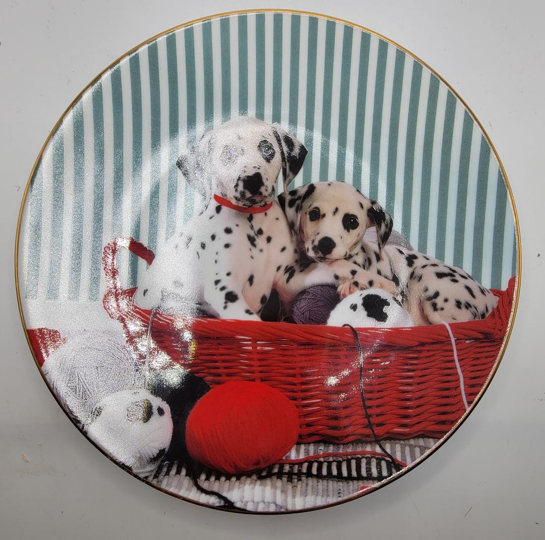 Vintage 1995 Dalmatian Plate "he's in My Spot" From These Delightful ...