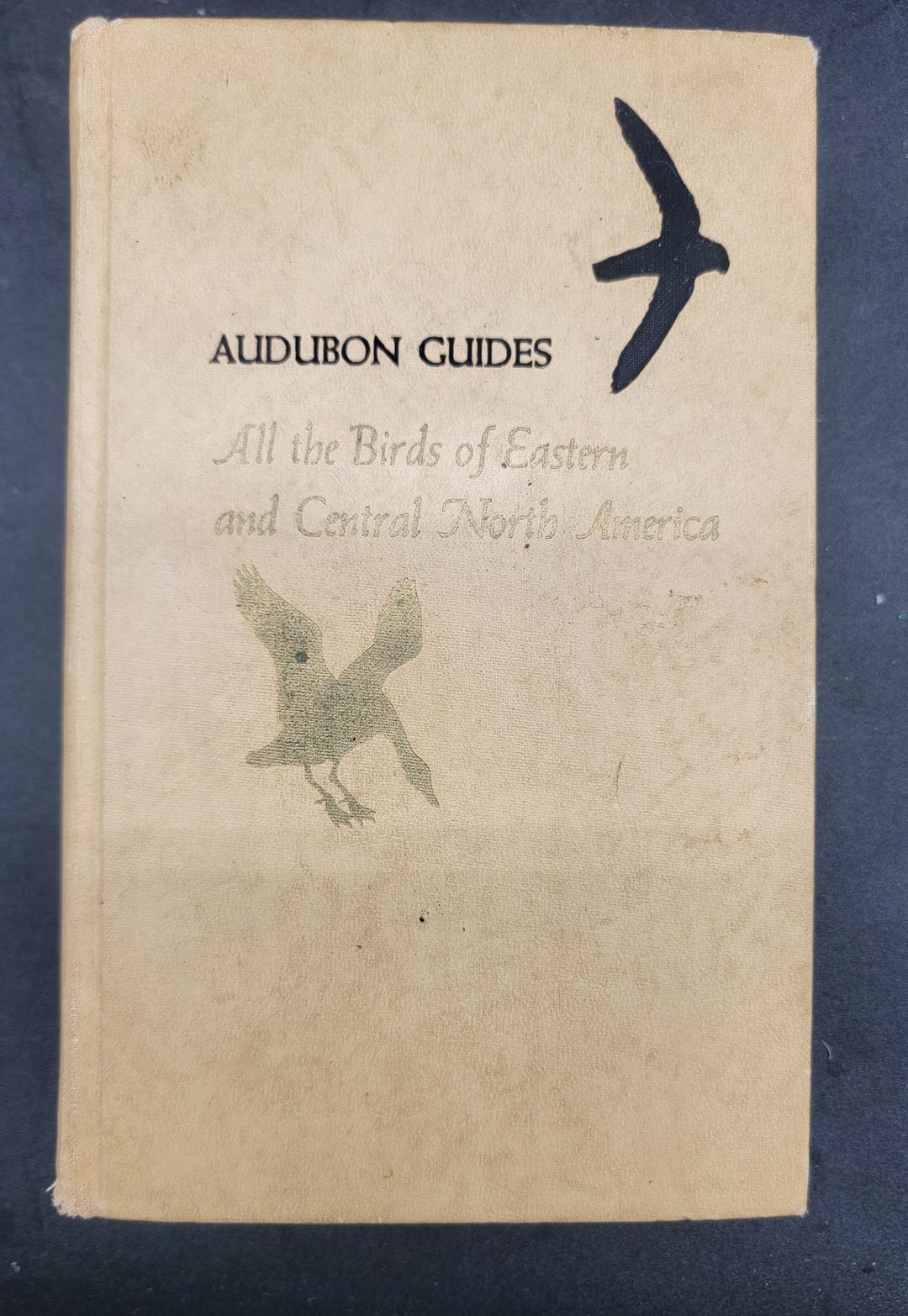 Vintage Book: 1953 Audubon Guides All the Birds of Eastern and Central ...