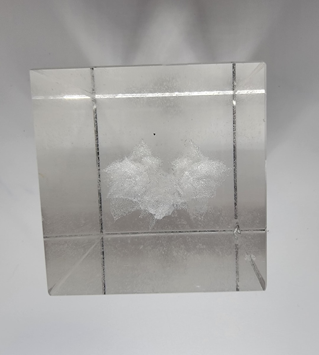 3D Laser Cut Glass Paperweight With Flowers. - Etsy