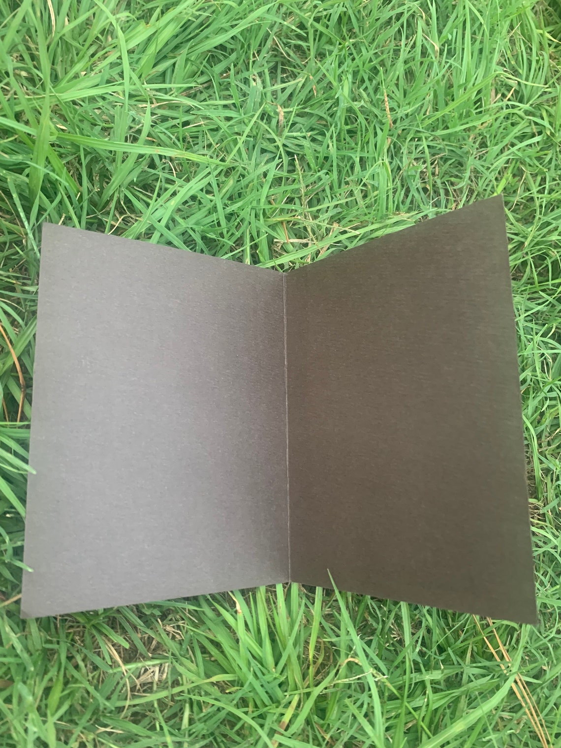 Hand Drawn Rainbow Fish Relax Hopeful Greeting Card Blank With Envelope ...