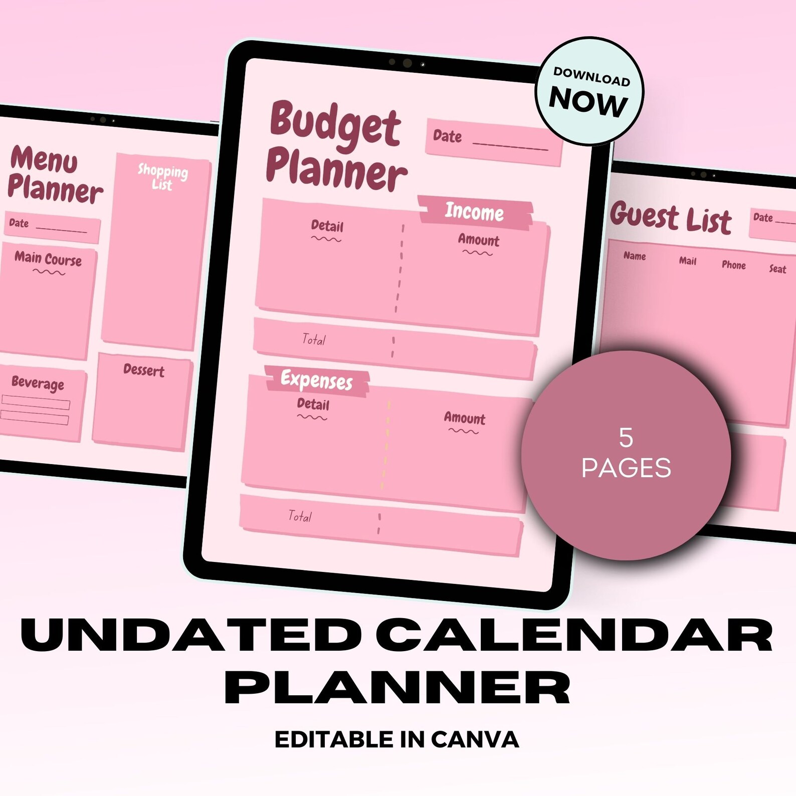 Pink Birthday Party Planner: Printable Event Planning (digital Download ...