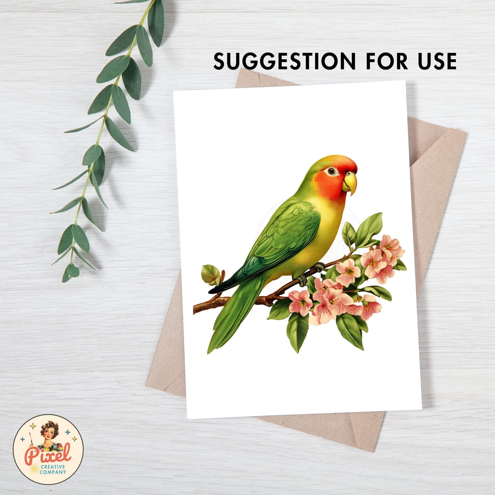 Vintage Parrots Clipart Graphics | Parrot PNG | Vintage Retro Bird PNG ...