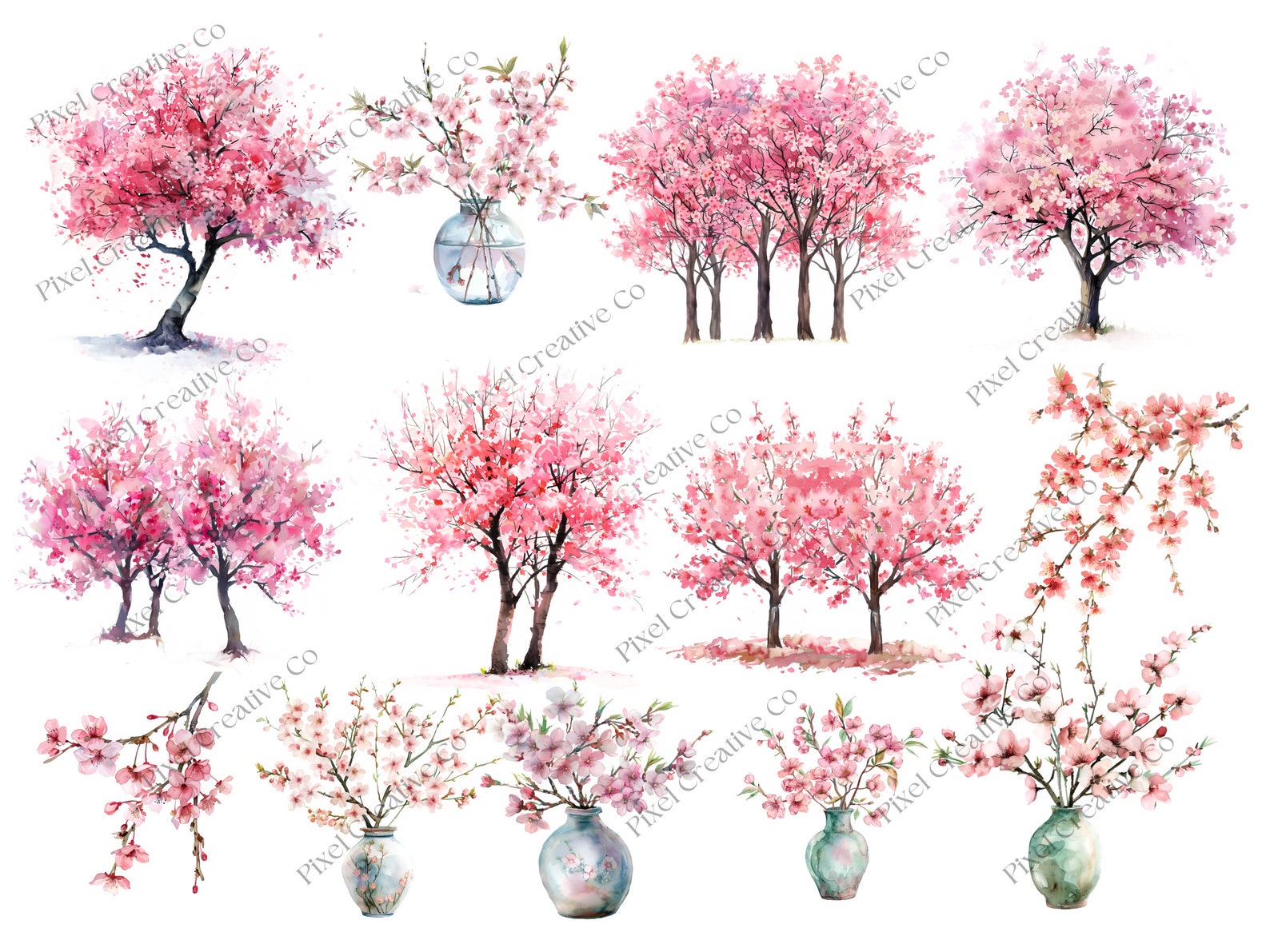 Watercolor Cherry Blossom Clipart, Japanese Cherry Blossom Branches and ...