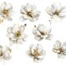 White and Gold Flowers Watercolor Clipart, White Floral Clip Art, Gold ...