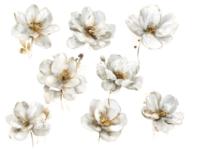 White and Gold Flowers Watercolor Clipart, White Floral Clip Art, Gold ...