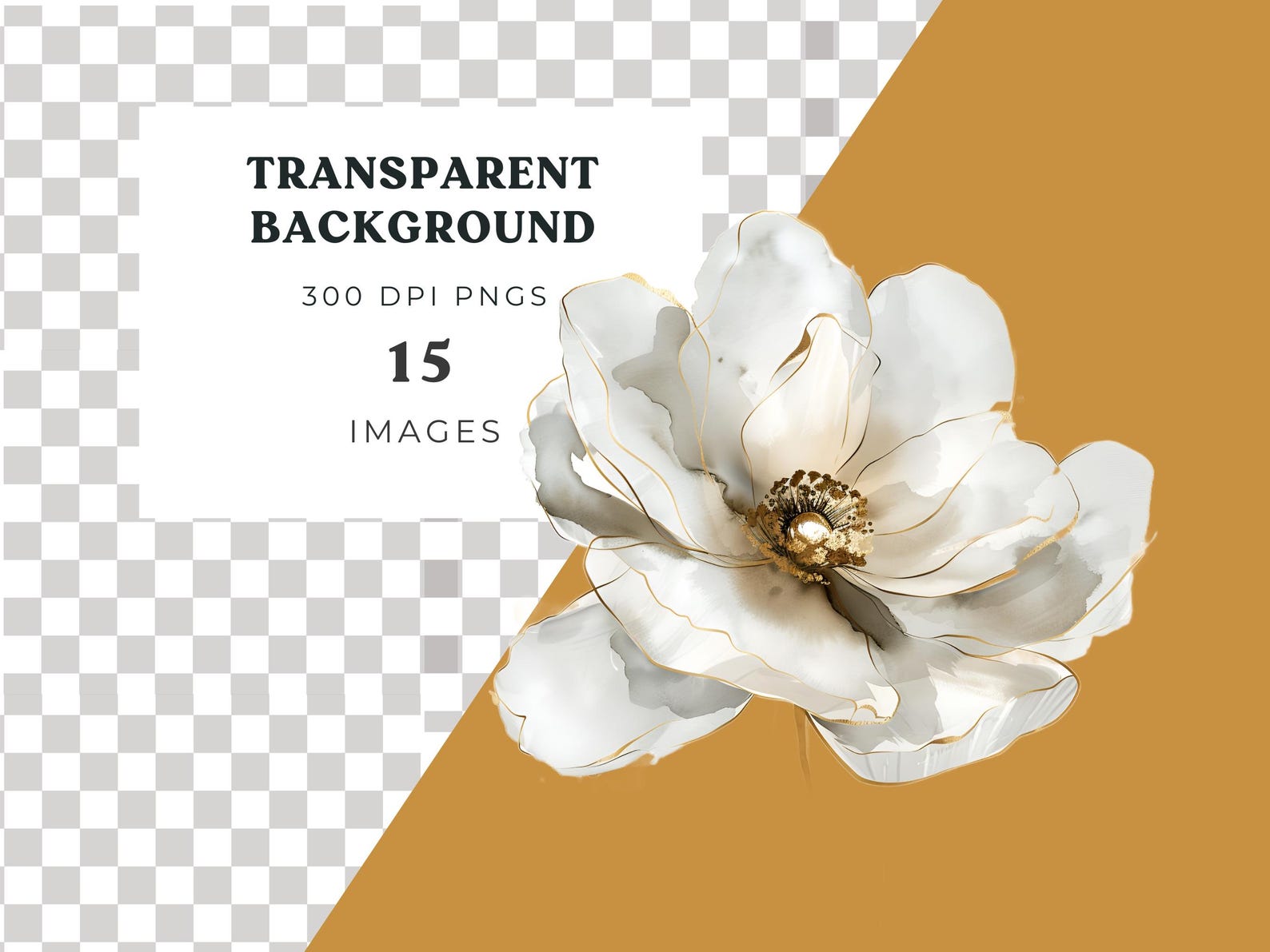 White and Gold Flowers Watercolor Clipart, White Floral Clip Art, Gold ...