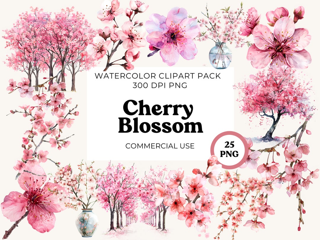 Watercolor Cherry Blossom Clipart, Japanese Cherry Blossom Branches and ...