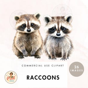 Raccoons Watercolor Clipart PNG | Feral Raccoon PNG | Cute Animal ...