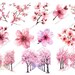 Watercolor Cherry Blossom Clipart, Japanese Cherry Blossom Branches and ...