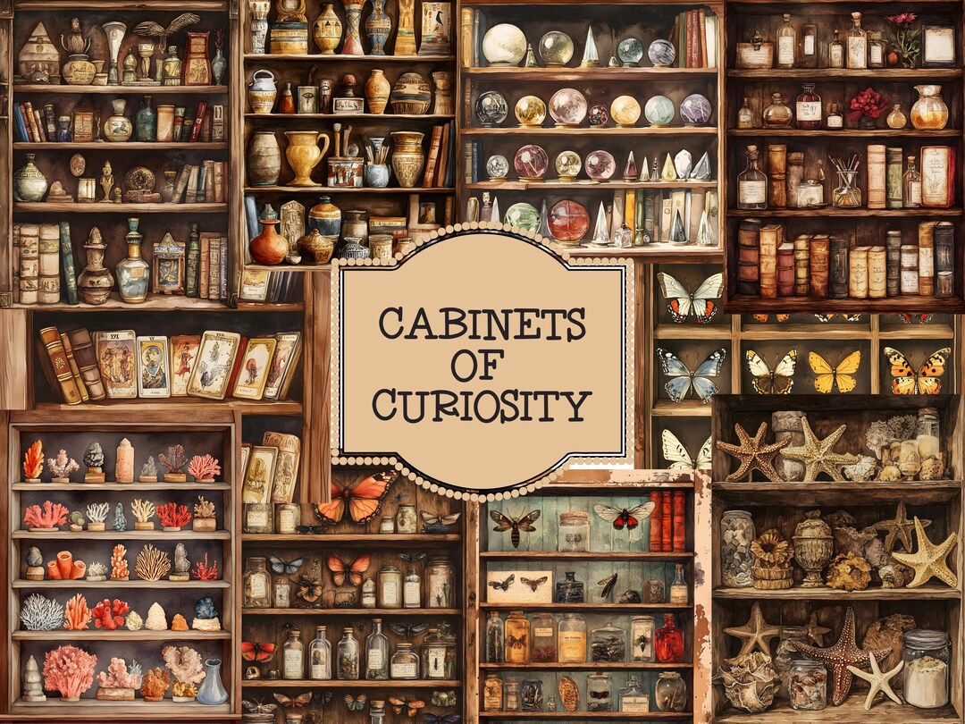 Cabinets of Curiosity Clipart, Assorted Oddities in Cabinets, Vintage ...