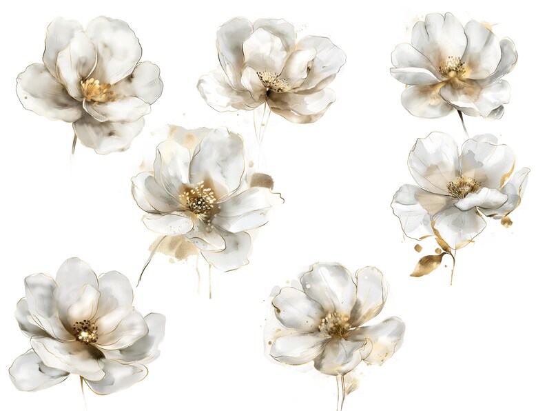 White and Gold Flowers Watercolor Clipart, White Floral Clip Art, Gold ...