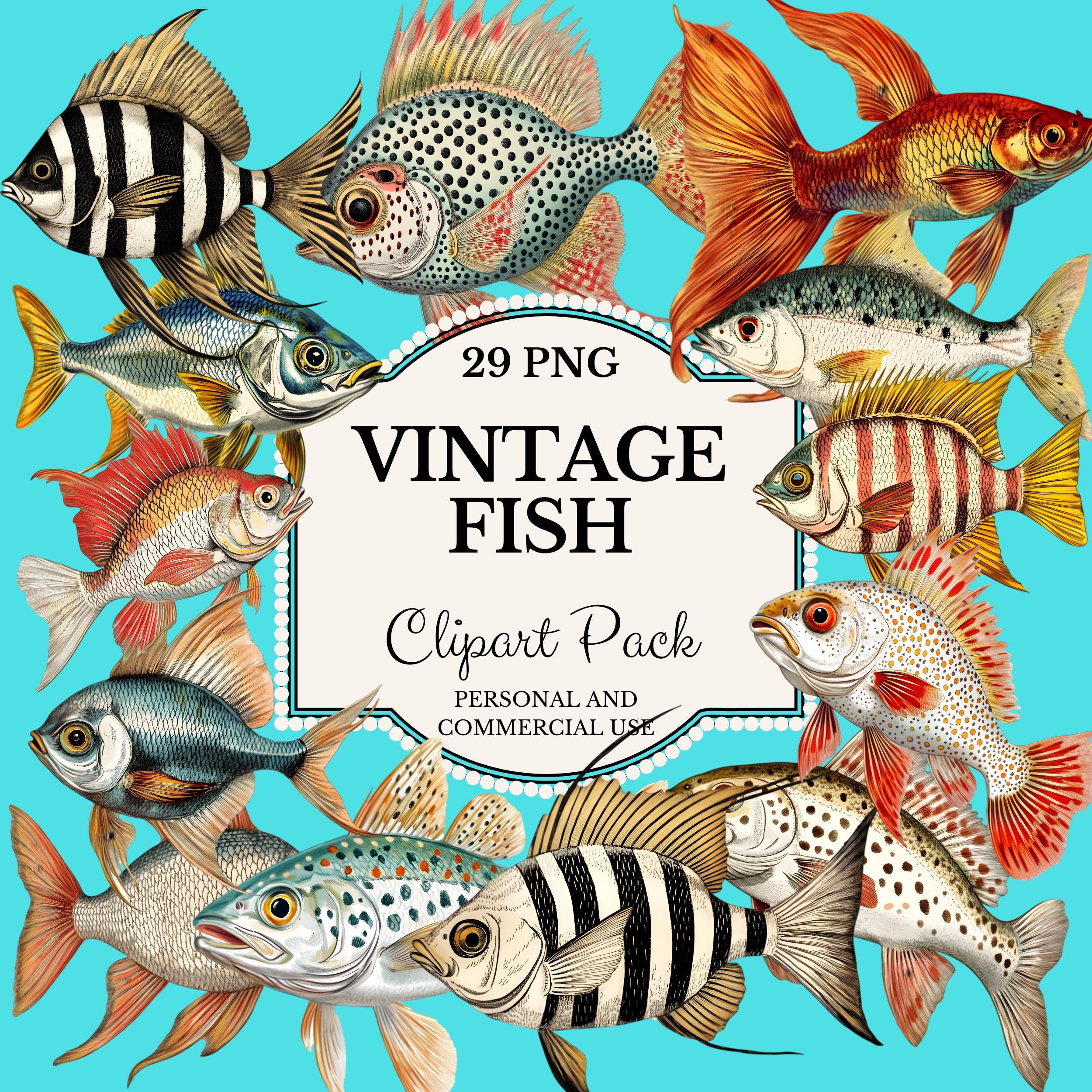 Vintage Fish Clipart Graphic Illustrations Historical Fish Clip Art ...