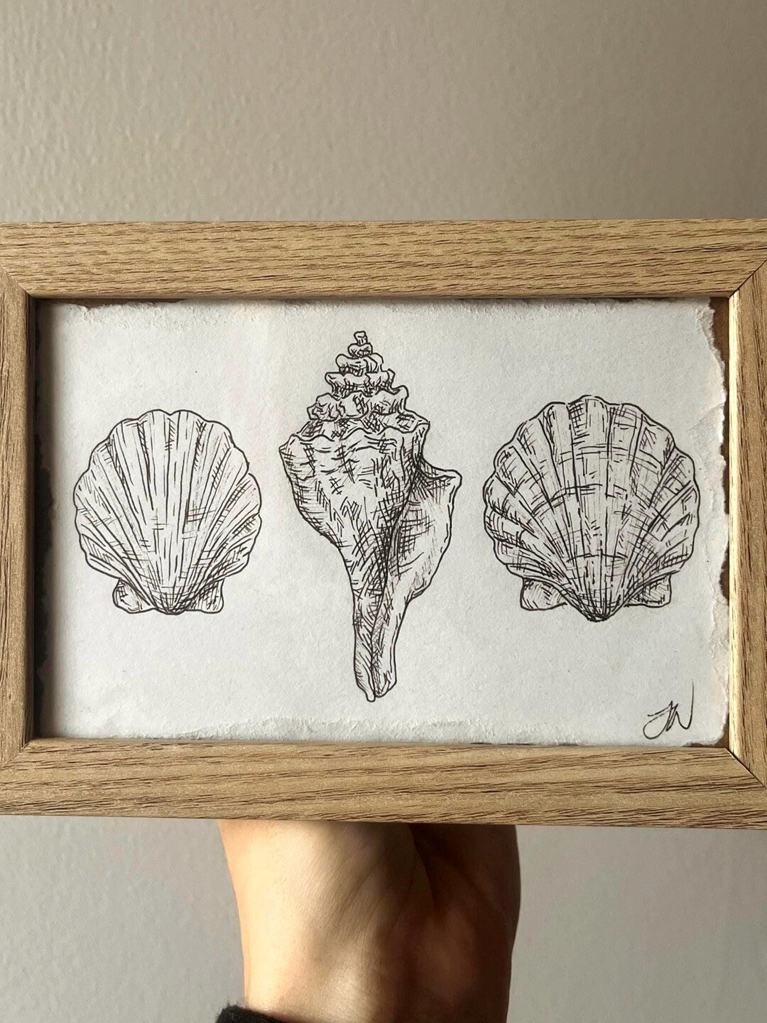 Framed 6x4 Hand Drawn Black Fine-line Drawing of Shells - Etsy